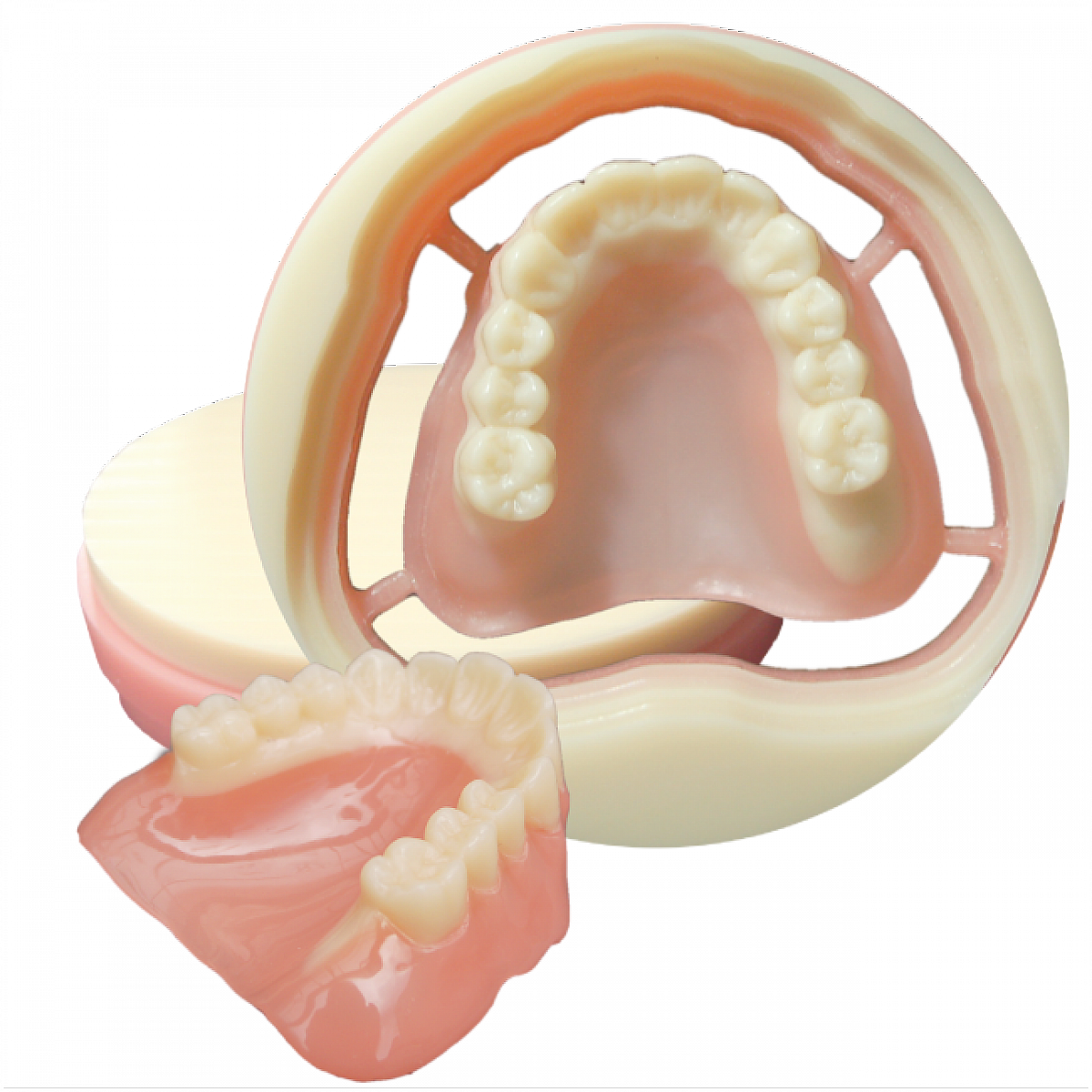 CAD-CAM DISC FULL DENTURE
